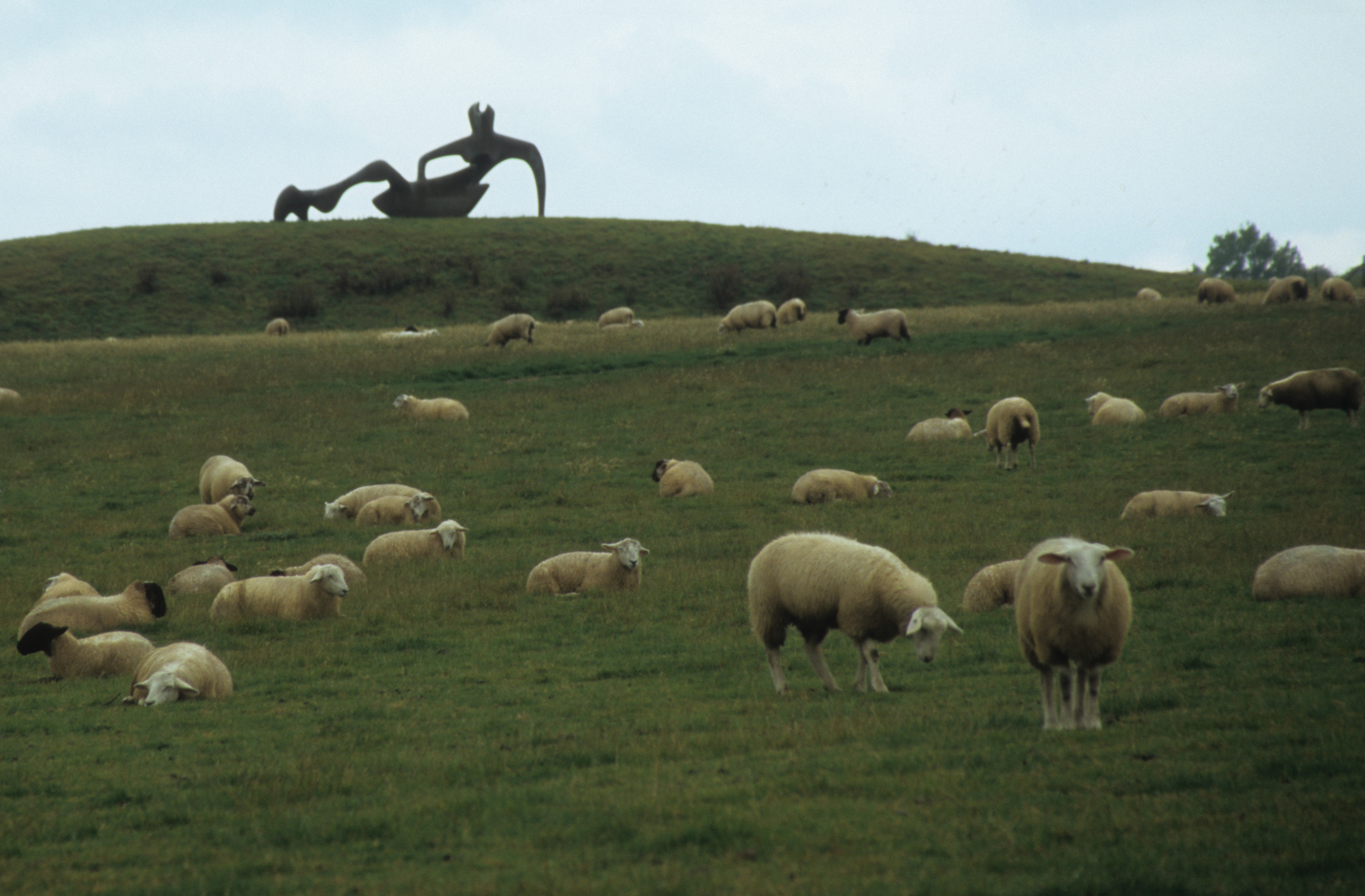 Henry Moore - Georgios Cherouvim