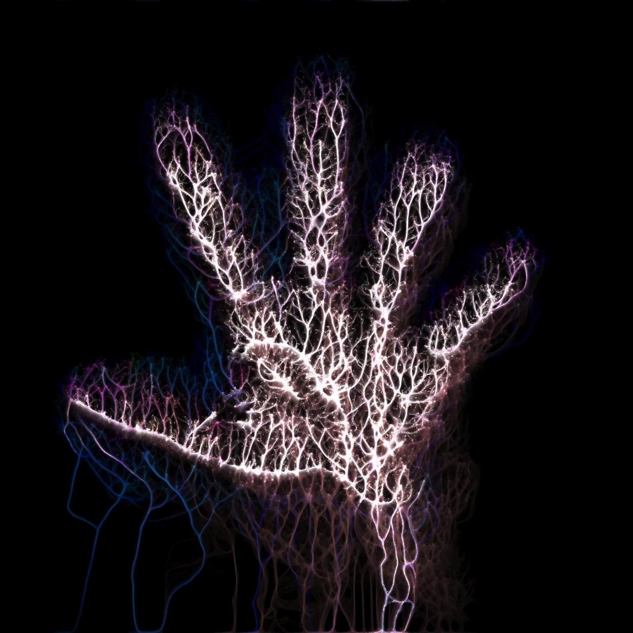 Slime mold - Georgios Cherouvim